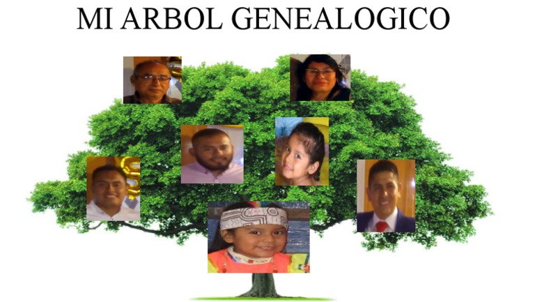 Mi Arbol Genealogico | PDF