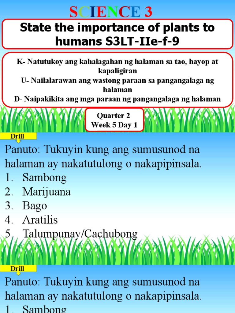 State The Importance of Plants To Humans S3Lt-Iie-F-9 | PDF