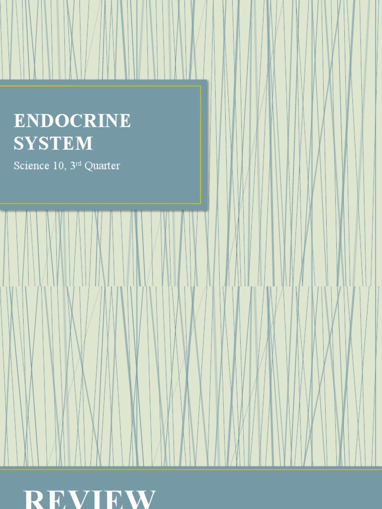 Endocrine System Pdf Endocrine System Hormone
