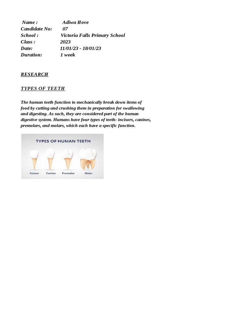 Science Teeth CALA PDF | PDF | Tooth | Dentistry