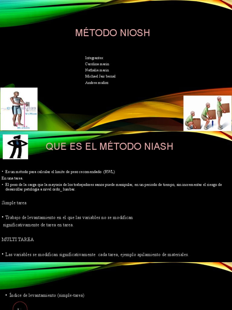 Método Niosh | PDF