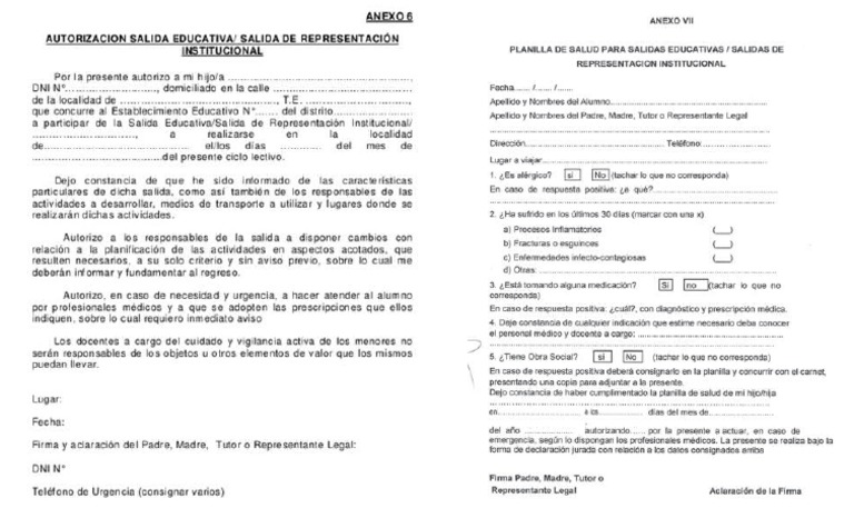 Anexo 6 y 7 Juntos-1 | PDF