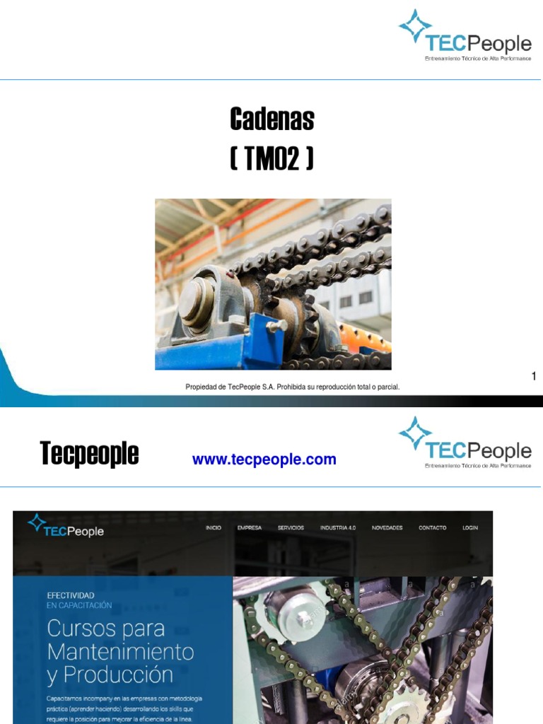 2 Manual-Cadenas-elearning-Clase-2-Rev.1 | PDF | Engranaje | Rodamiento (Mecánico)