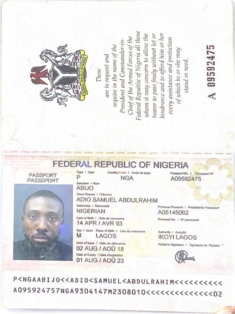 CEO Int'l Passport PDF | PDF