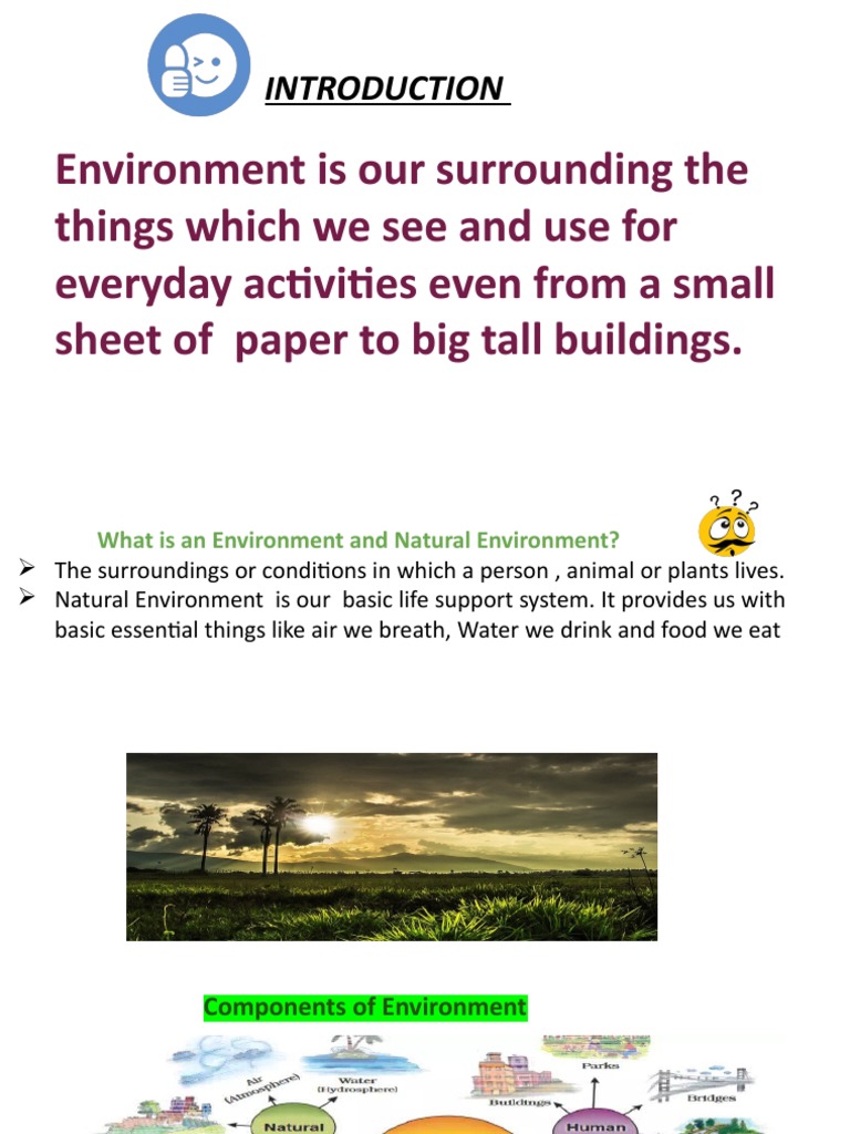 Class 7 Geography Chapter - 1 Environment | PDF