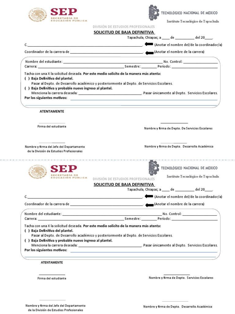 Solicitud de Baja Definitiva | PDF