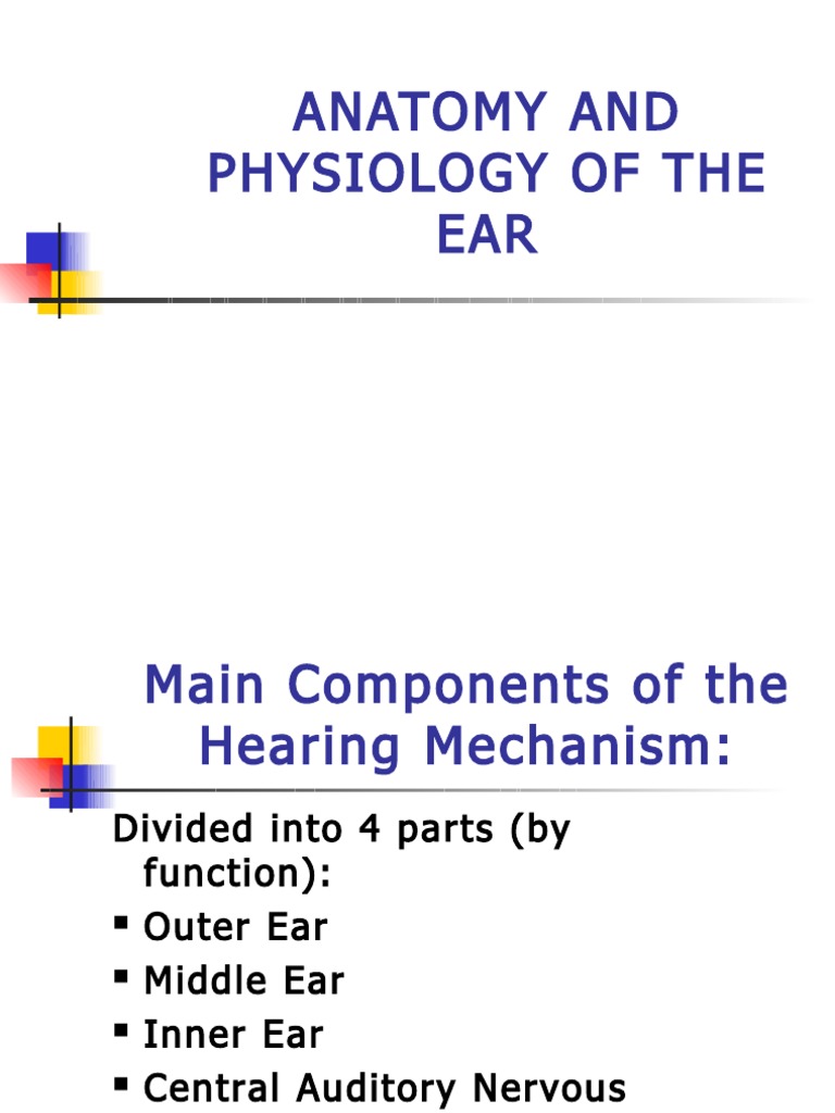 Physiology of Hearing Overview | PDF | Ear | Auditory System