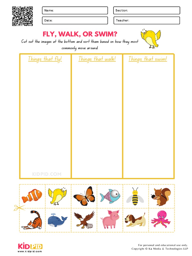 Fly Walk or Swim Sorting Printable Worksheets PDF | PDF | Copyright Law