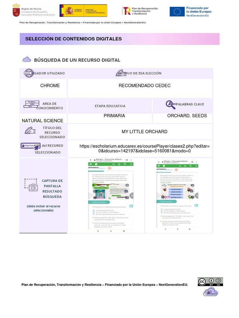 Tarea 2.1. Selección de Contenidos Digitales | PDF | Informática