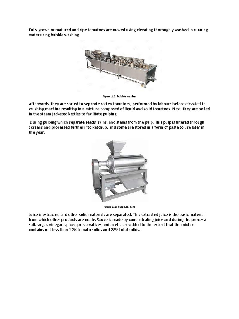WW Assignment 1 Process | PDF