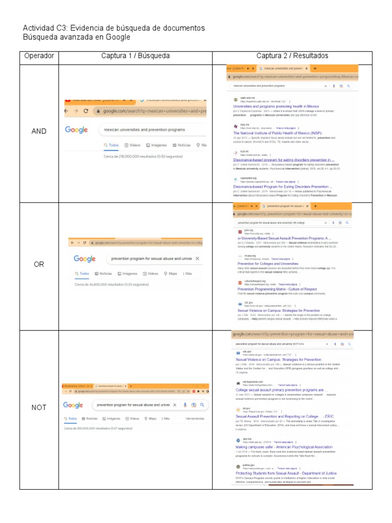 Evidencia de Búsqueda | PDF