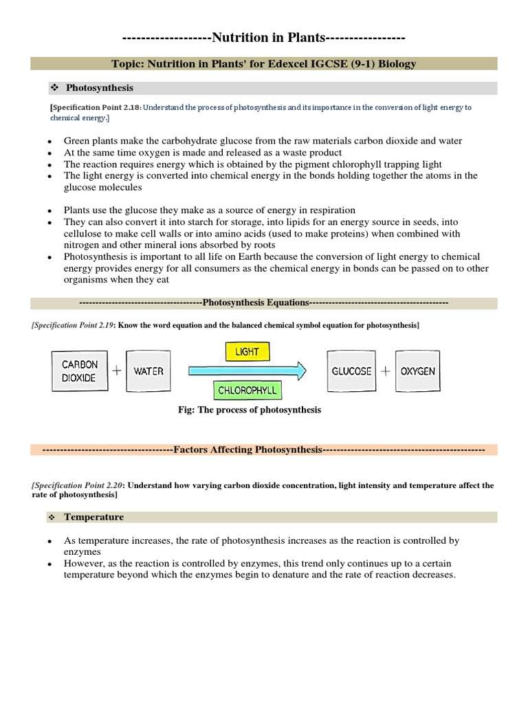 Nutrition in Plants Edexcel IGCSE | PDF | Photosynthesis | Plants