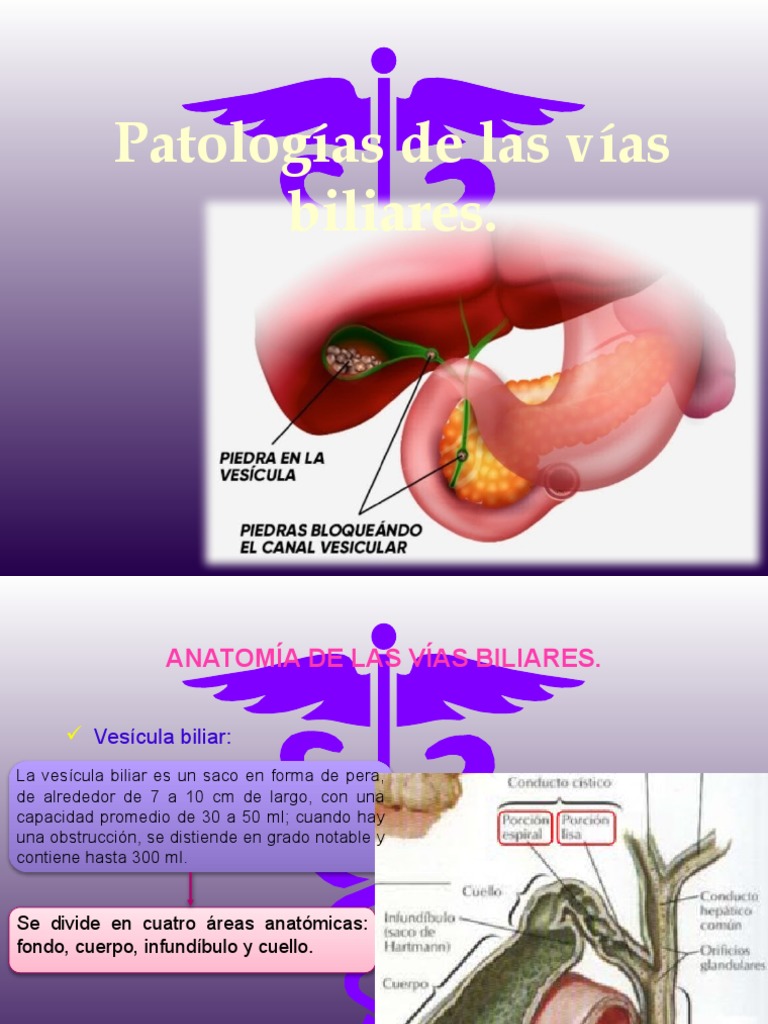 Patologias de Vias Biliares | PDF | Bilis | Sistema digestivo humano