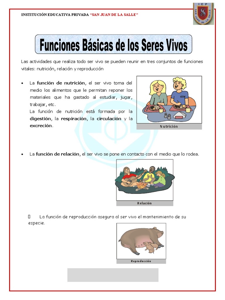 Funciones-Básicas-de-los-Seres-Vivos - 3 y 4 - 8-05-2023 | PDF | Sistema digestivo humano | Boca