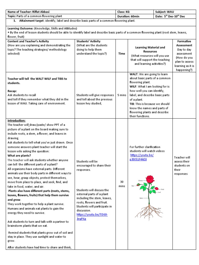 Parts of A Flowering Plant Lesson 1 | PDF | Flowers | Plants