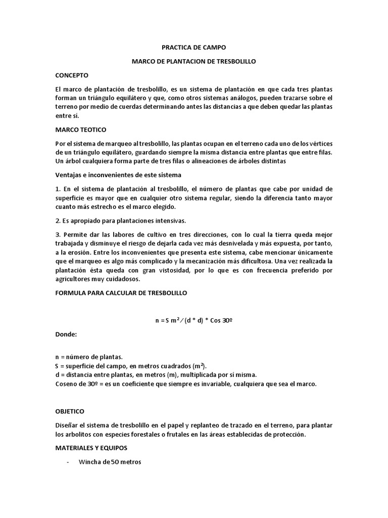 Practica de Campo | PDF | Triángulo