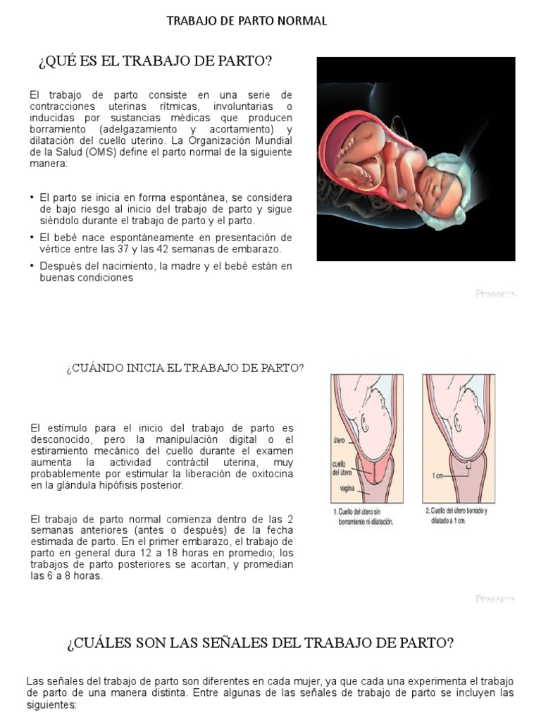 Clase 6 Trabajo de Parto Normal | PDF | Parto | El embarazo