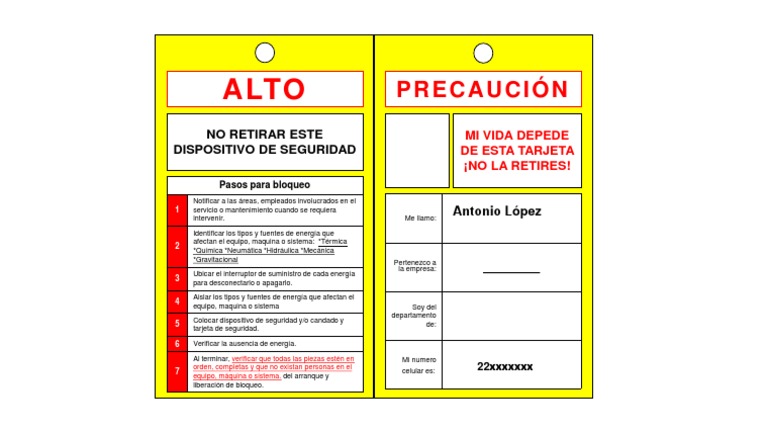 TARJETA - SEGURIDAD Ejemplo | PDF