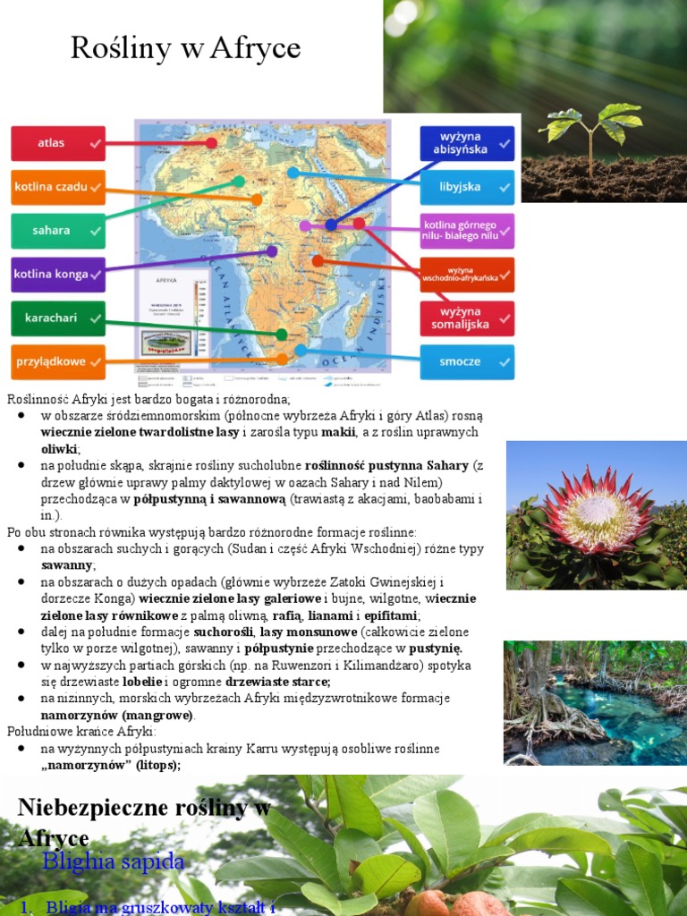 Prezentacja Afryka | PDF