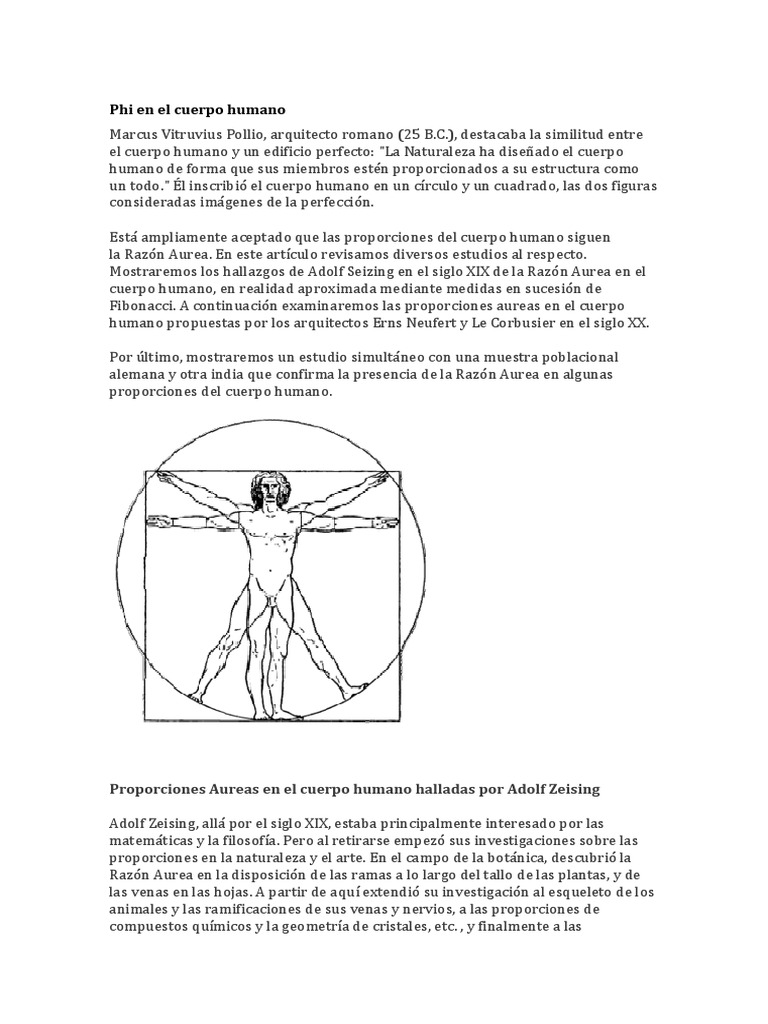 Proporción Áurea en el Cuerpo Humano | PDF