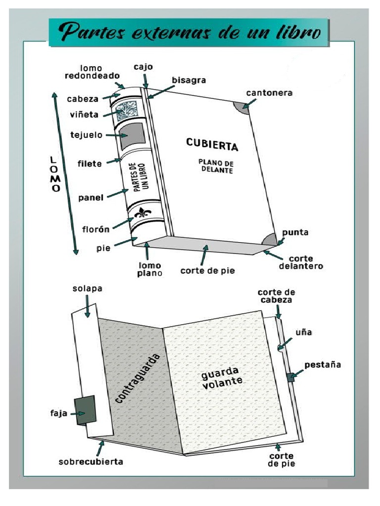 Partes Externas de Un Libro | PDF