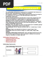 Afrikaans Huistaal Taalleer Opsommings | PDF