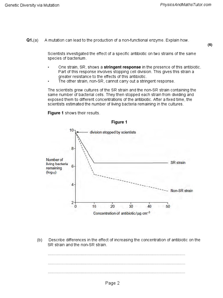 4.3 Genetic Diversity Via Mutation QP PDF | PDF | Genetics | Mutation