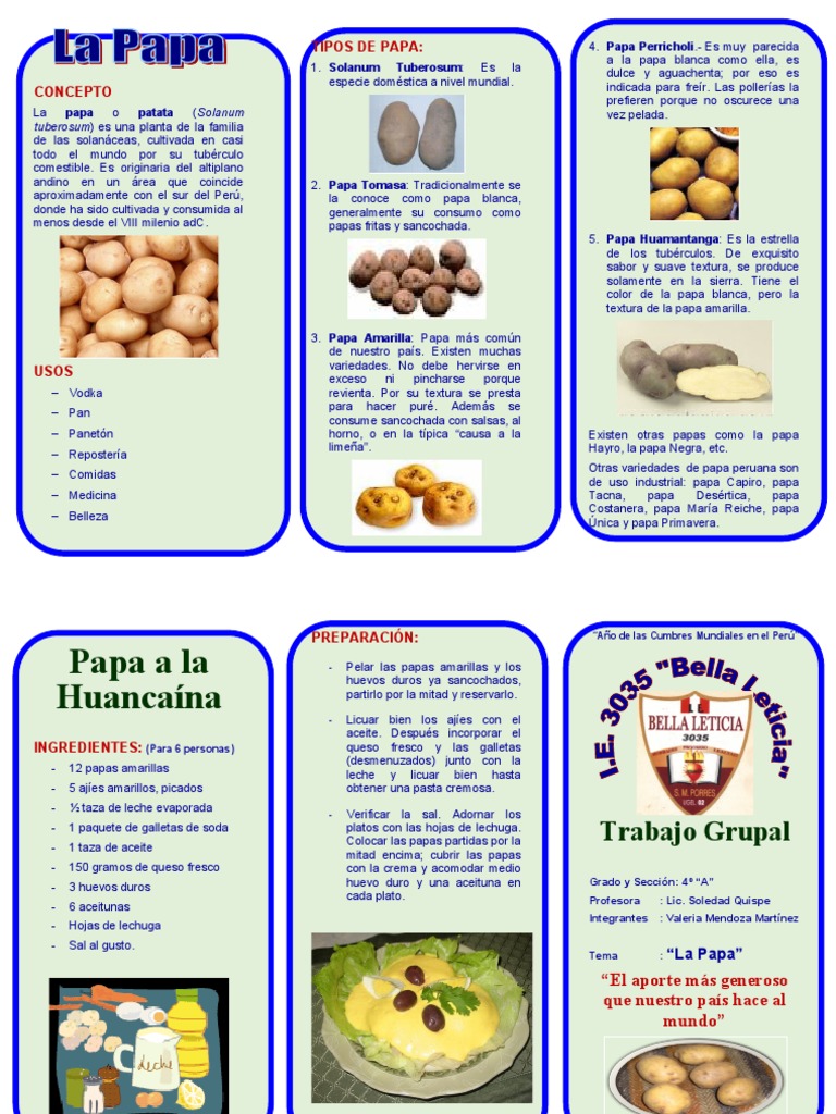 Triptico La Papa | PDF | Patata | Alimentos