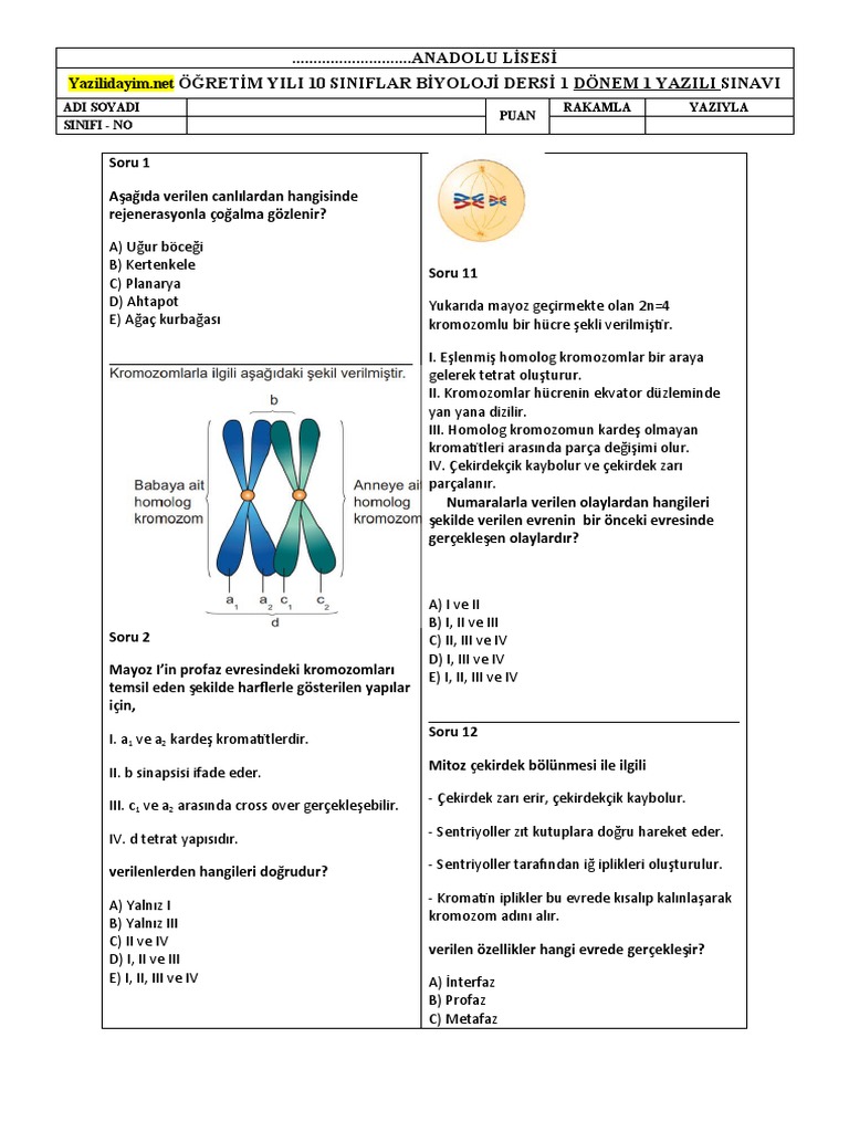 10.sinif Biyoloji 1.donem 2.yazili Sorulari 1 | PDF