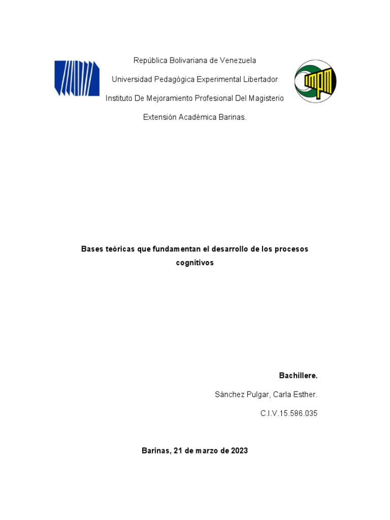 Bases Teóricas Que Fundamentan El Desarrollo de Los Procesos Cognitivos ...