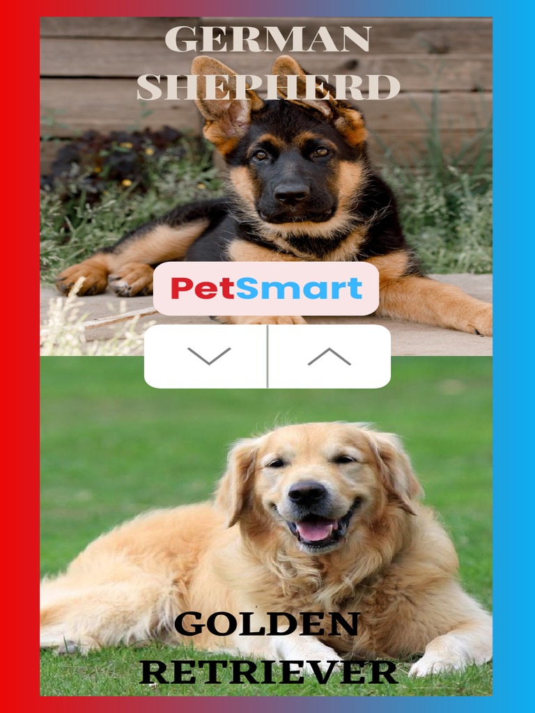 social-media-marketing-pdf