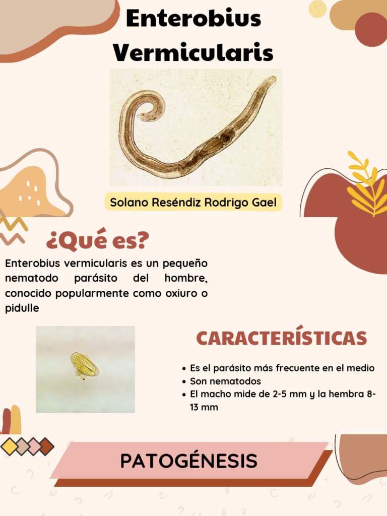 Enterobius Vermicularis | PDF | Epidemiología | Medicina