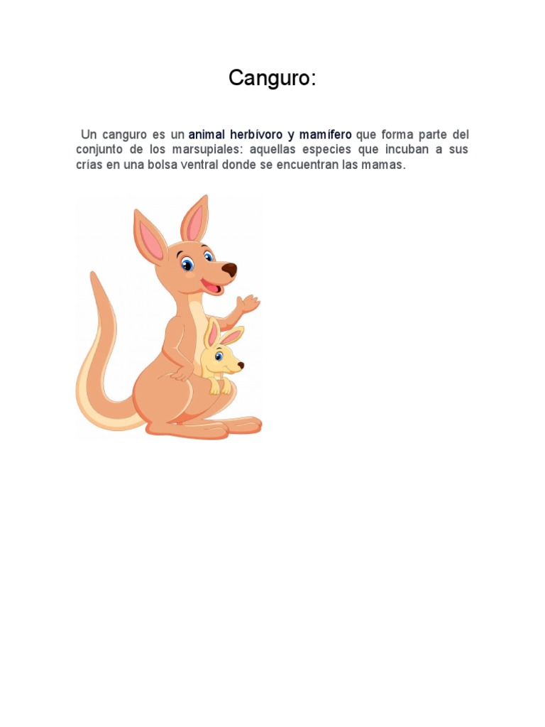 Canguro | PDF