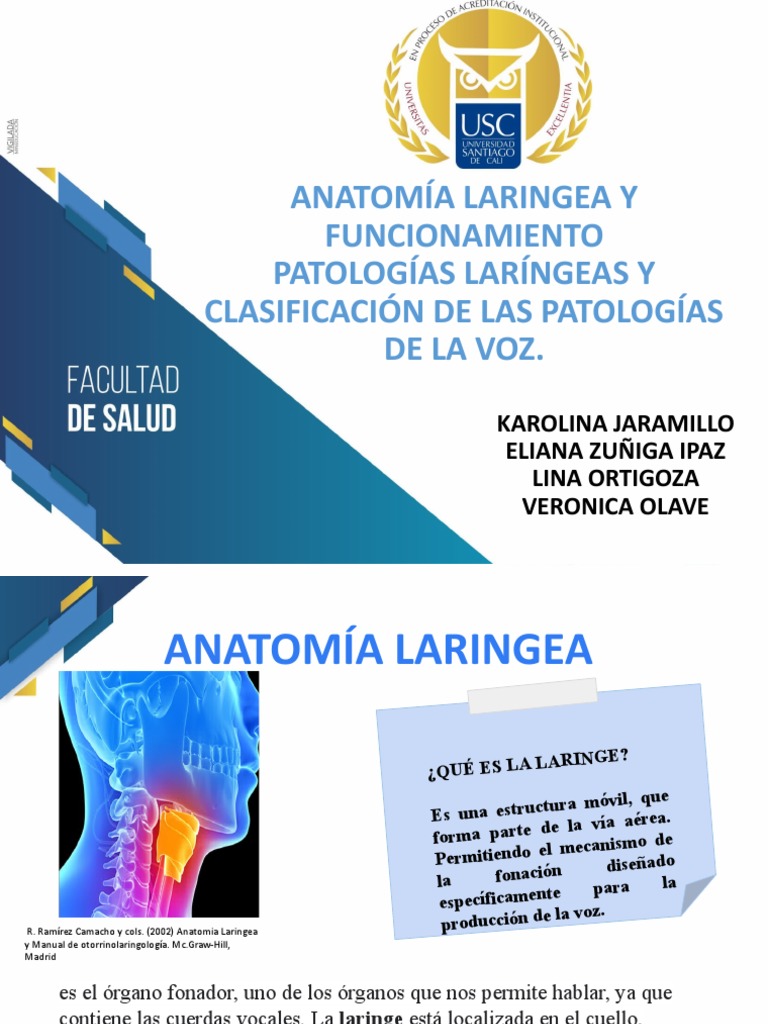 Anatomía Laringea y Funcionamiento Patologías Laríngeas y Clasificación ...