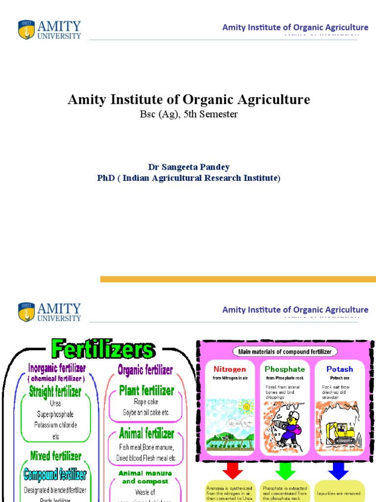 Fertilizers | PDF | Fertilizer | Urea