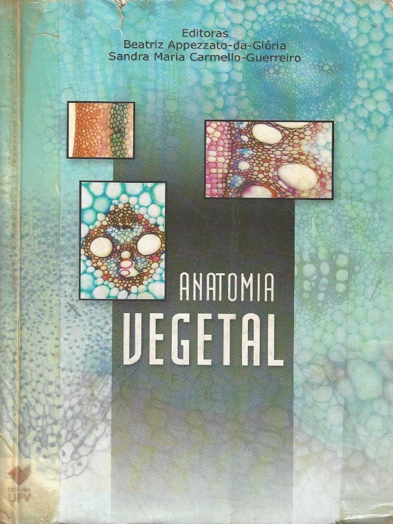 Appezzato Cap 5 PDF | PDF