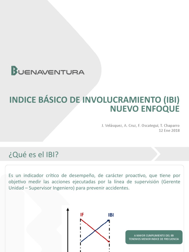 IBI - Nuevo Enfoque | PDF