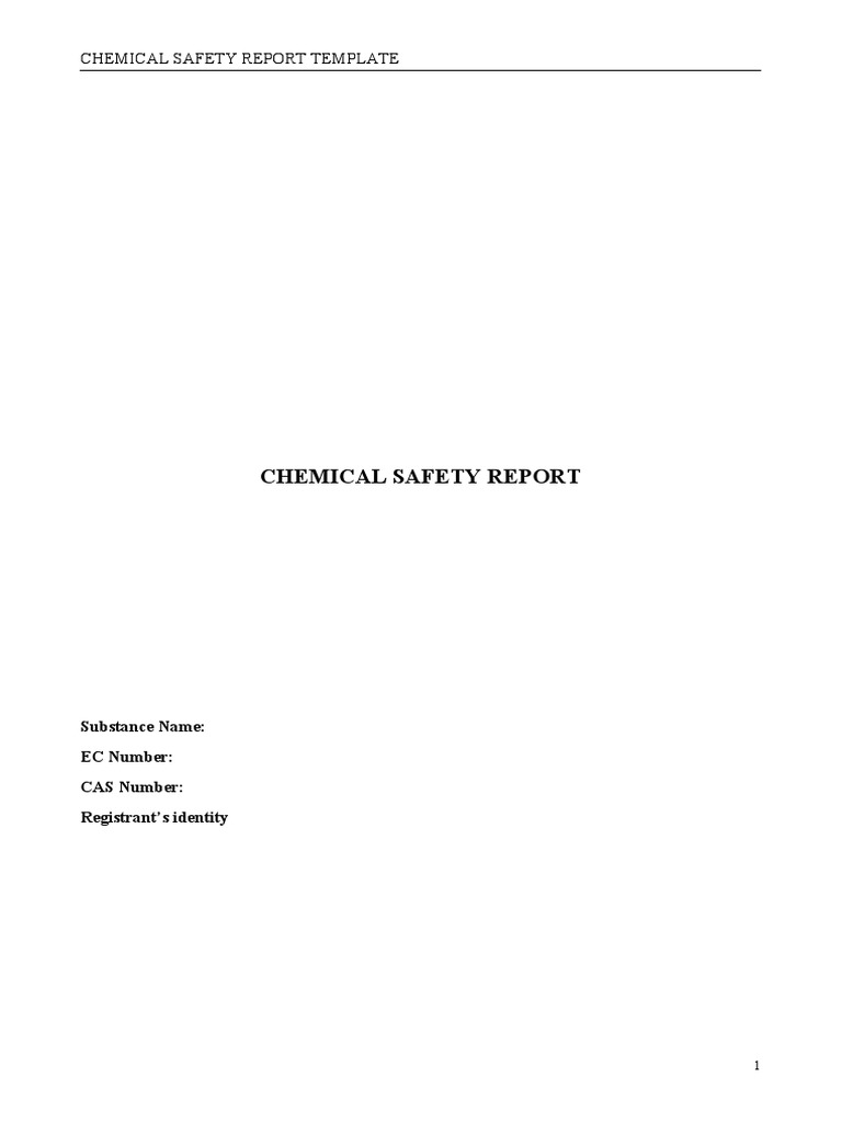 Chemical Safety Report Template | PDF | Toxicity | Biodegradation