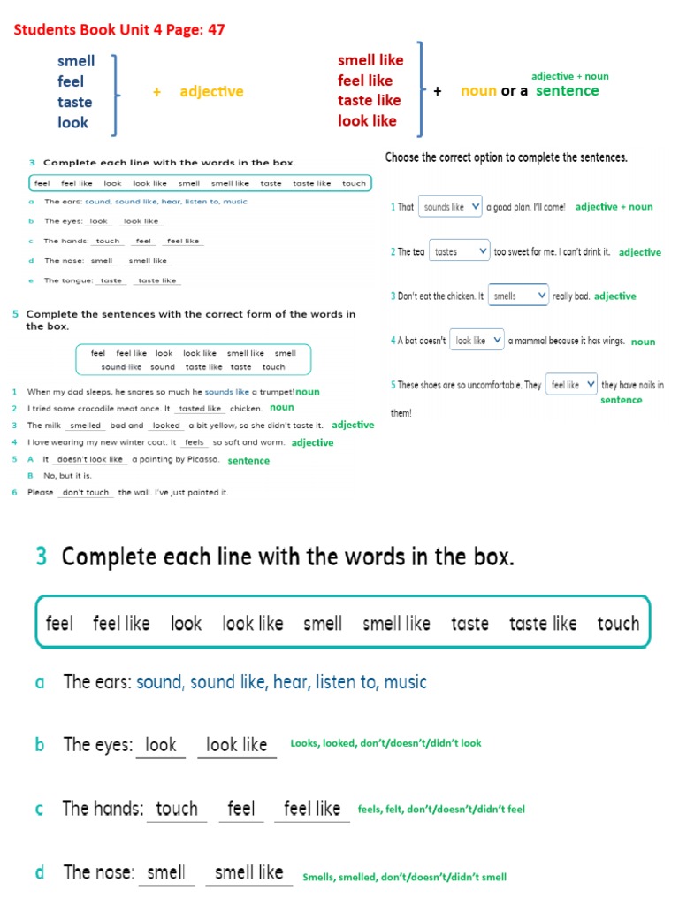 Own It 4 (Unit 4) SB GRAMMAR | PDF | Adjective | Noun