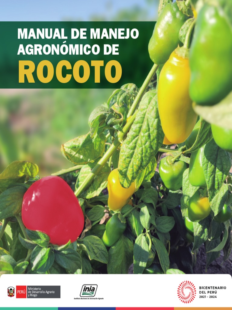 Yapo Pacheco 2023 Manual Rocoto | PDF | Agricultura | Pimiento