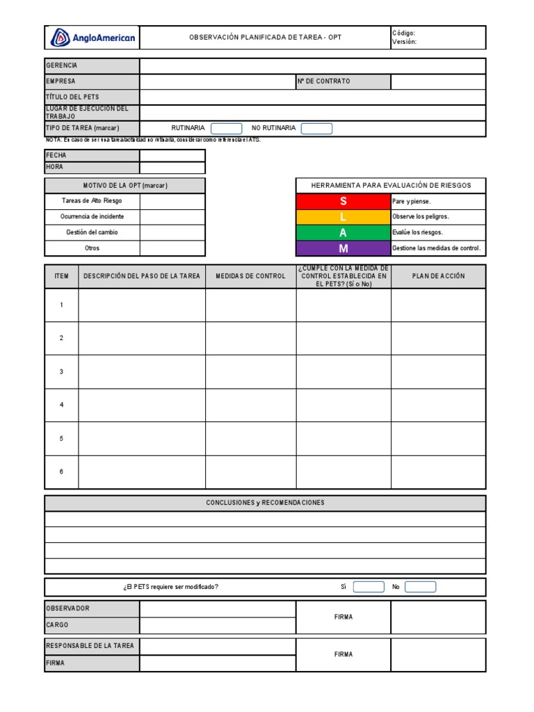 1.15 Anexo 02 - Formato OPT PDF | PDF