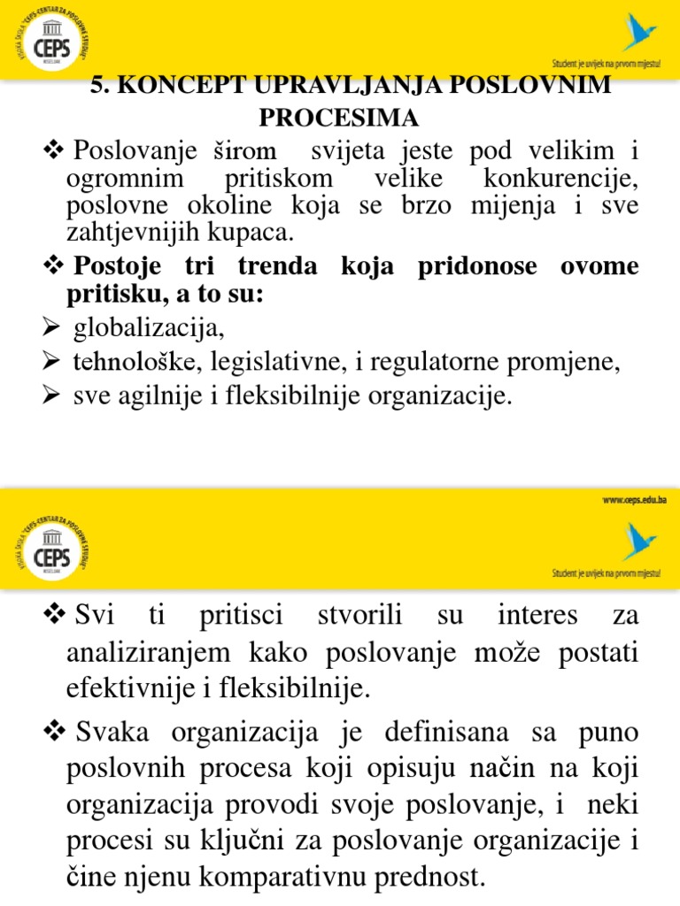 Koncept Upravljanja Poslovnim Procesima | PDF