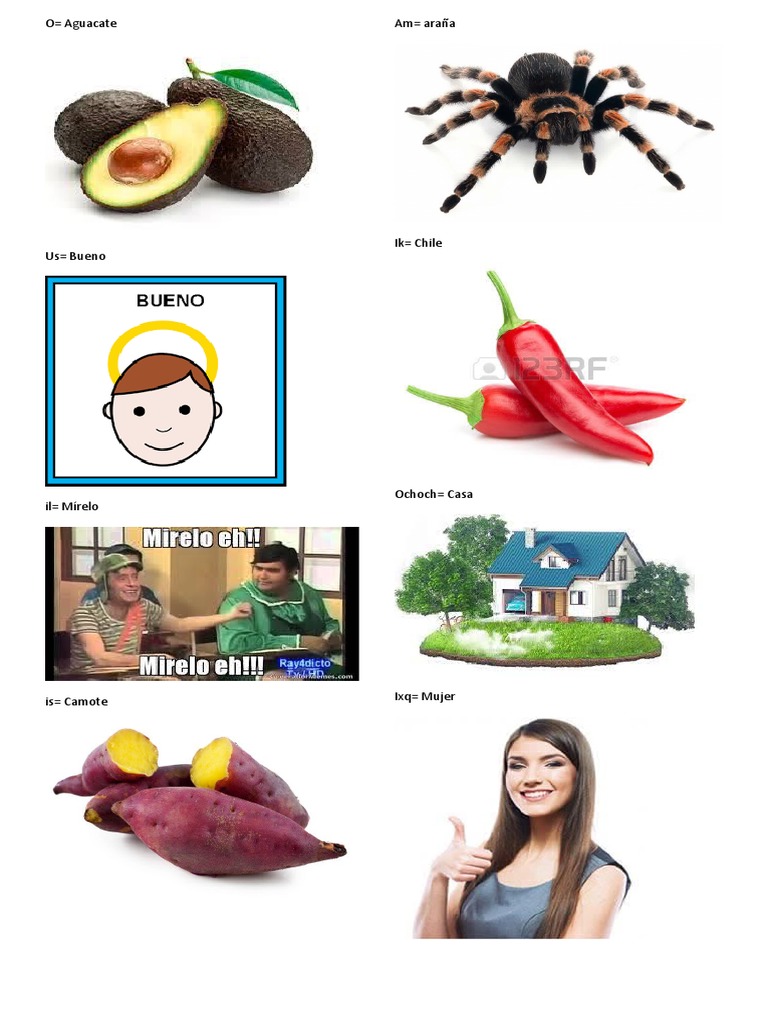 Vocales Mayas: Palabras en lengua maya con sus significados en español ...