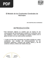 Modelo de Los Cuadrantes Cerebrales de Hermann | PDF | Hemisferio ...