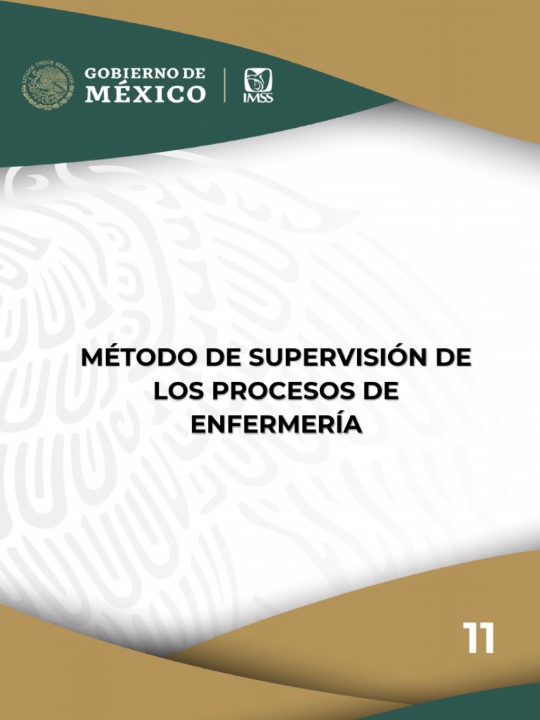 11 Guía Técnica Método de Supervisión Procesos de Enfermería V.2019 | PDF