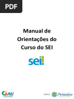 Manual de Peticionamento SEI UFMA | PDF