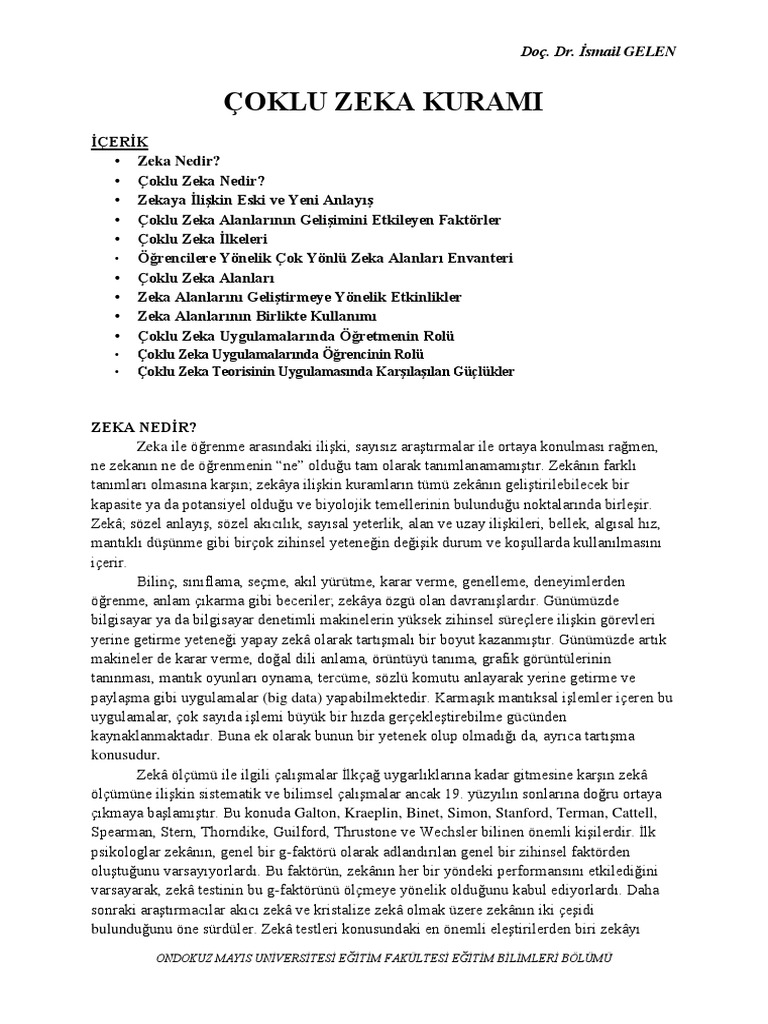 Coklu Zeka Kurami Kisa PDF | PDF