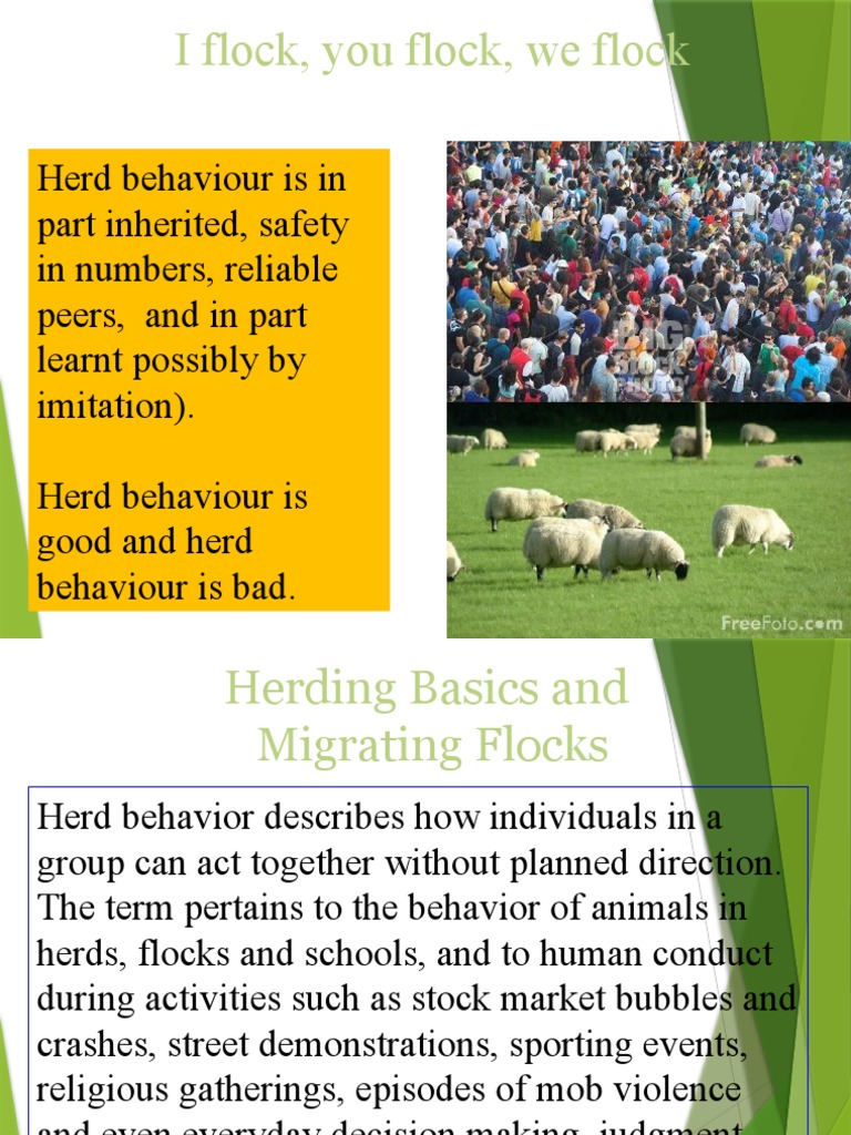 Behaviour | PDF | Long Term Capital Management | Arbitrage