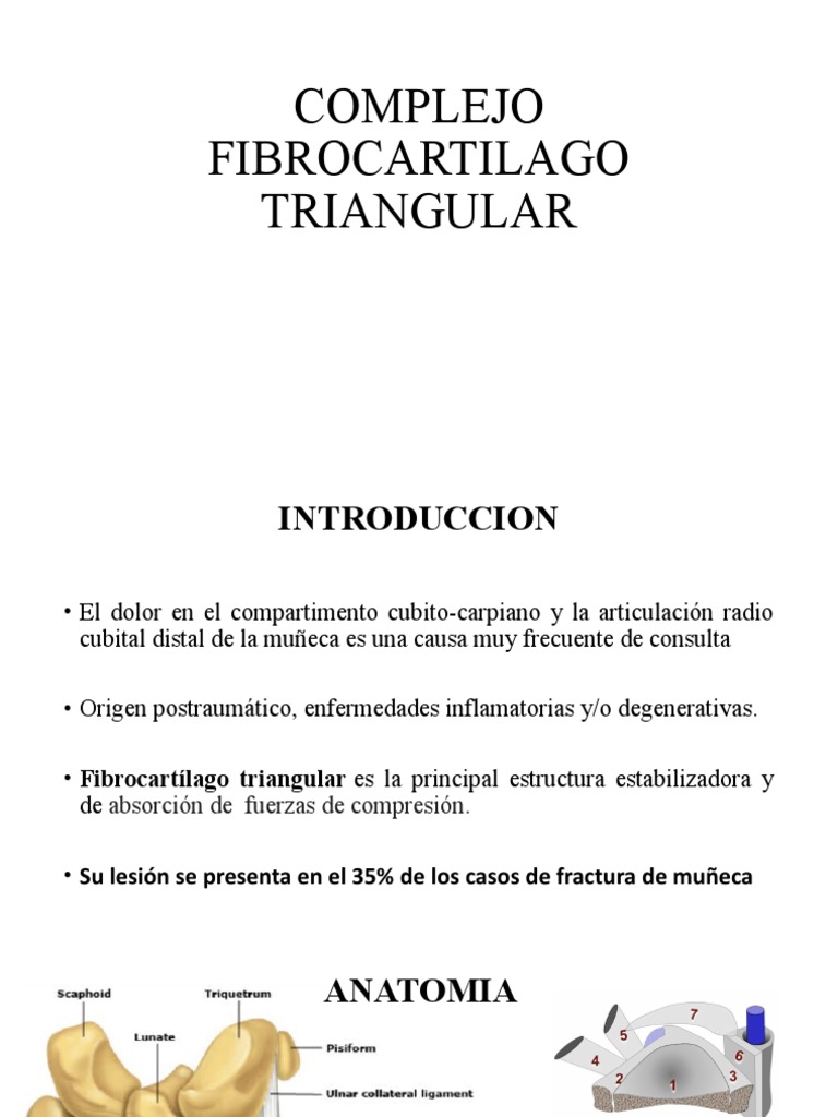 Complejo Fibrocartilago Triangular | PDF