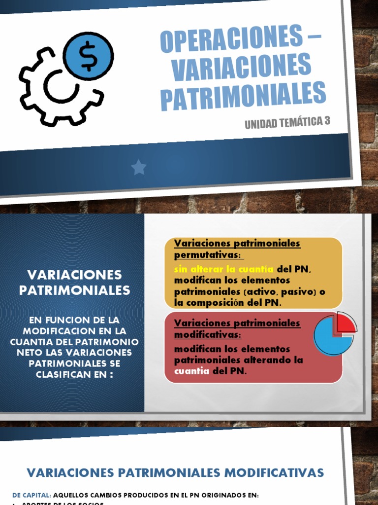 Variaciones Patrimoniales | PDF | Contabilidad | Economias